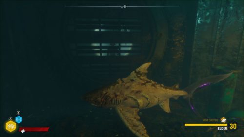 Maneater Beginner's Tips: Predators, Evolutions, Infamy & More ...