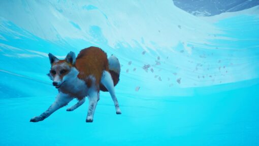 Fancy Fox Photography In Spirit of the North On PS5