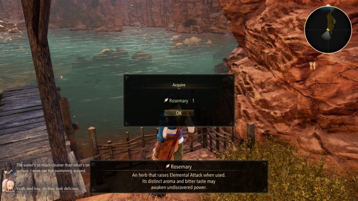 Tales of Arise: What Is Rosemary? - Cultured Vultures