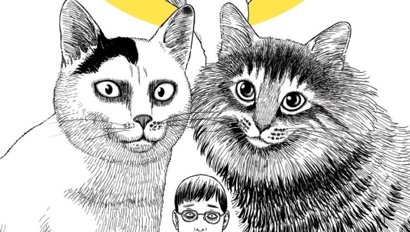 8 Best Manga For Cat Lovers | Cultured Vultures