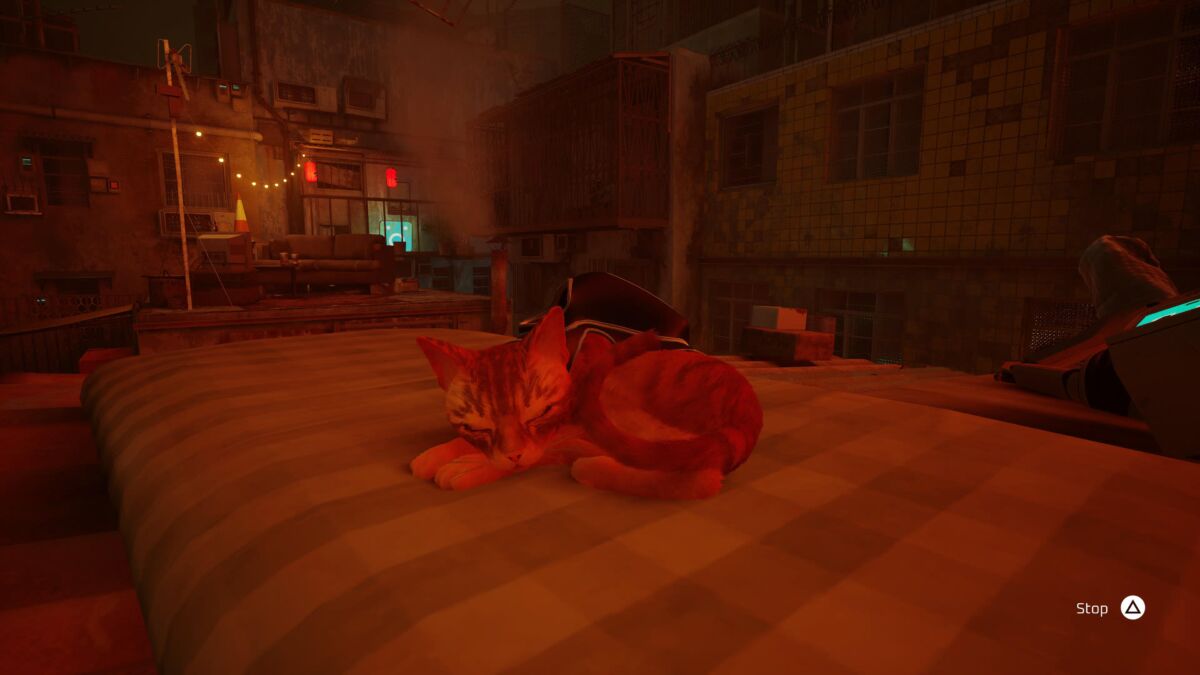 Stray: How To Sleep (Productive Day Trophy) - Cultured Vultures