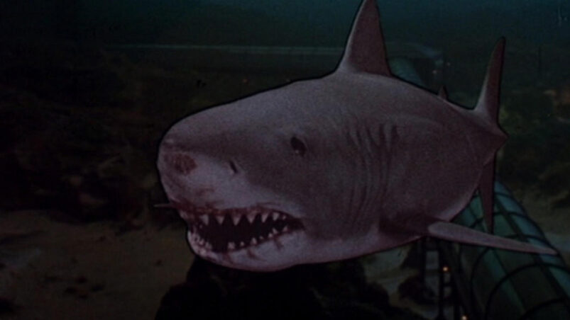Ranking the Jaws Movies From Worst To Best - Cultured Vultures